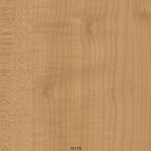 Titan 12mm Box-Up Model for Toilet Cubicle Solution - Merino Restrooms