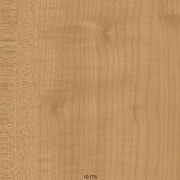 Titan 12mm Box-Up Model for Toilet Cubicle Solution - Merino Restrooms